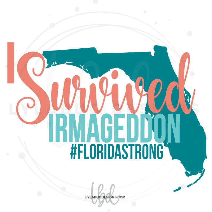 I Survived Irmageddon Decal